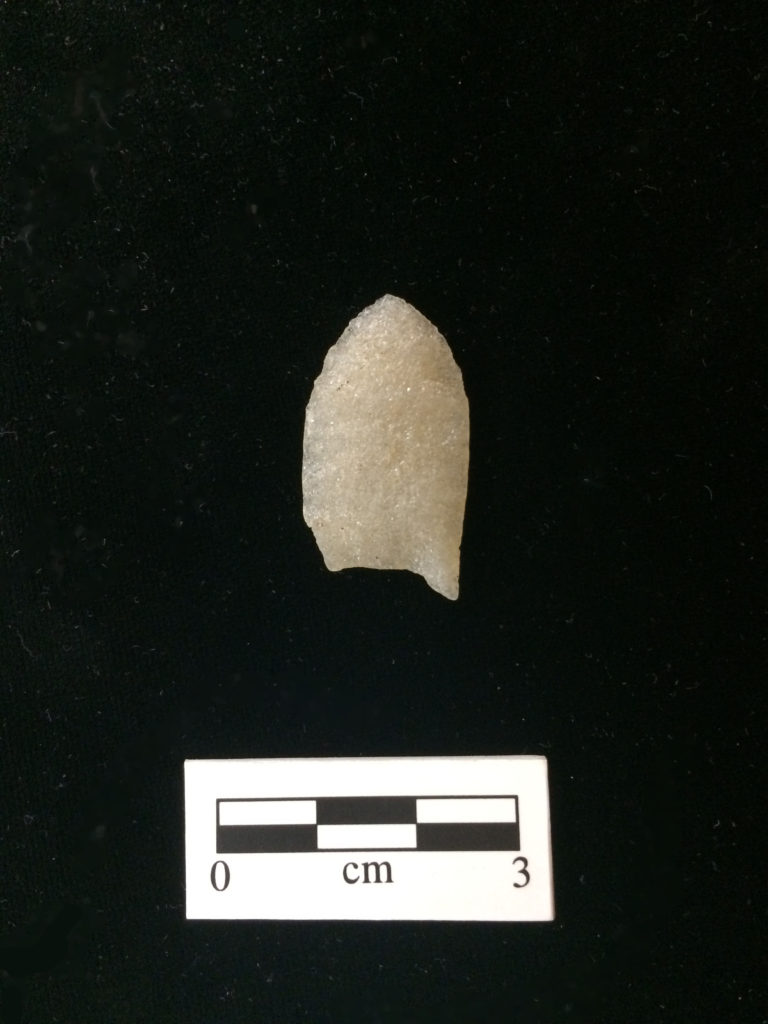 Paleolithic North America: Paleoindians at Skare, WI – The Schroeder Laboratory of Wisconsin ...