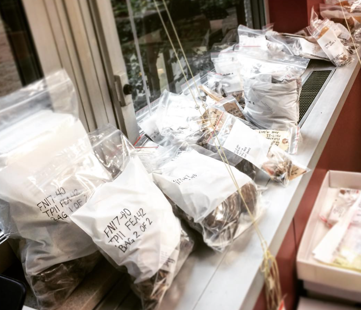 What is the Process of Archaeology? – The Schroeder Laboratory of ...